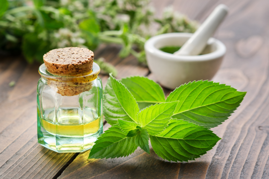 Pure peppermint oil store